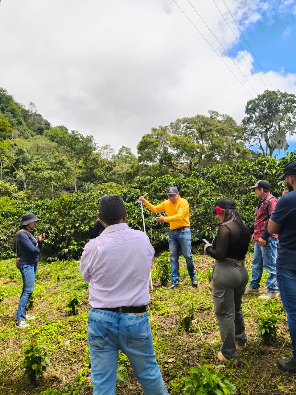 Caficultores del programa IPA-Plan 3000 Fincas se reúnen para potenciar ...